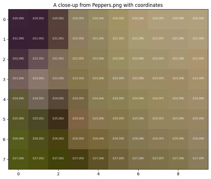 K-Means Clustering — DS325 Applied Data Science